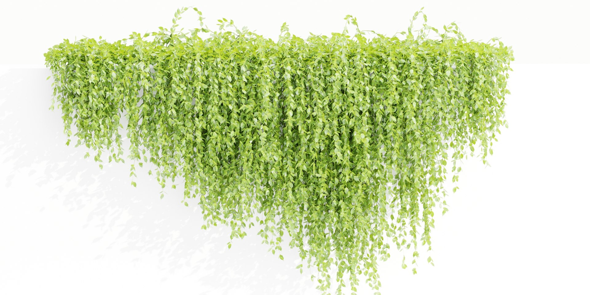 Creeper Plants Collection Vol 144-Blender 3D - TurboSquid 2149260