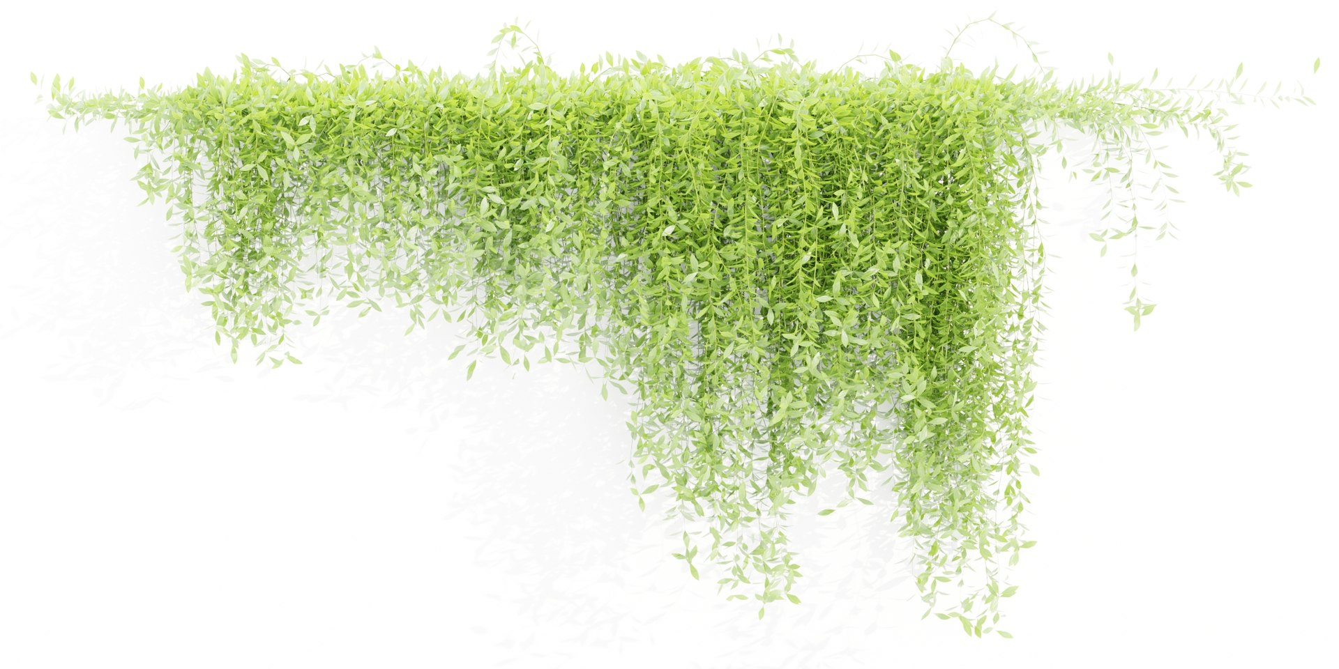 Creeper Plants Collection Vol 144-Blender 3D - TurboSquid 2149260