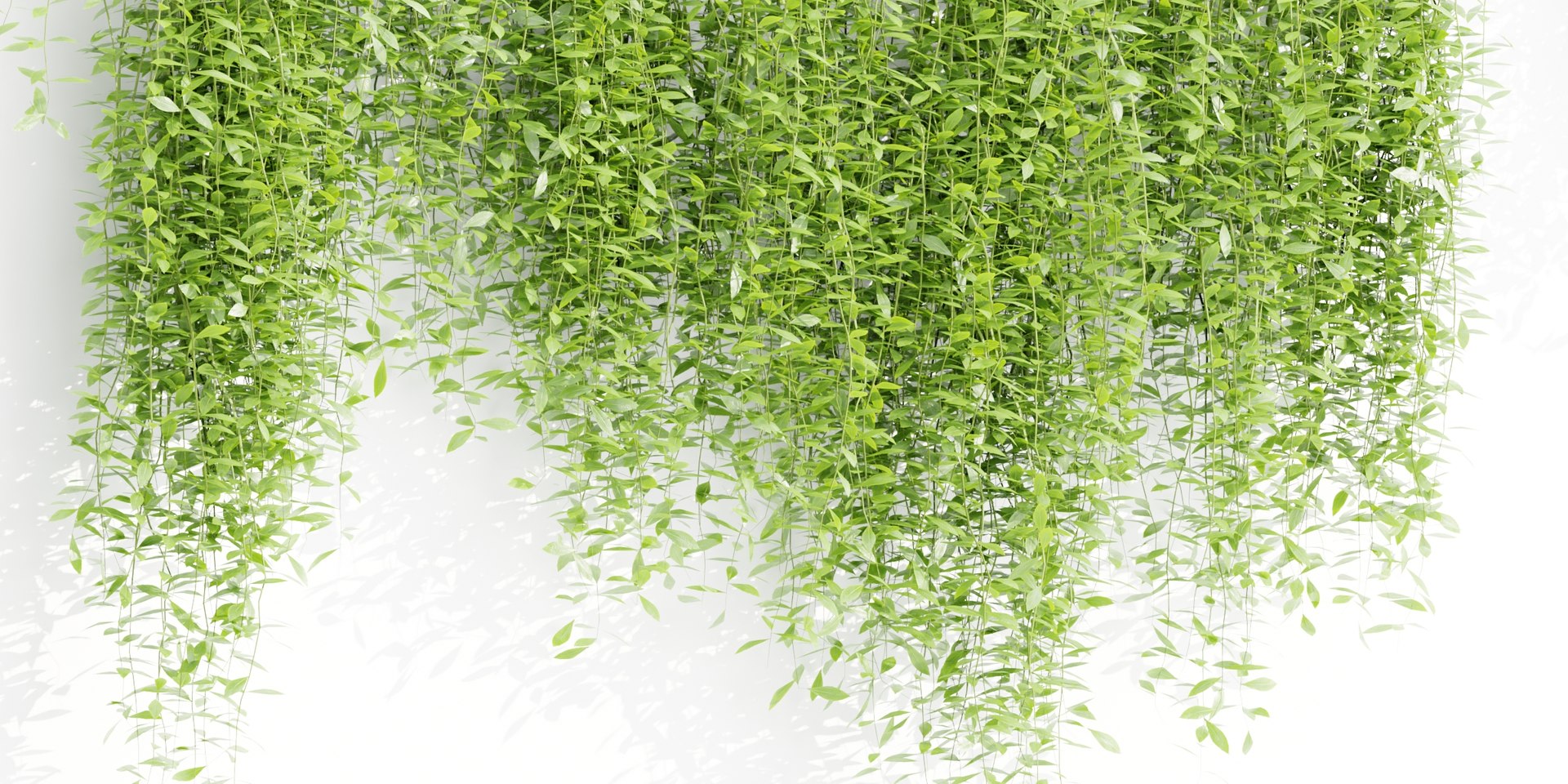 Creeper Plants Collection Vol 144-Blender 3D - TurboSquid 2149260