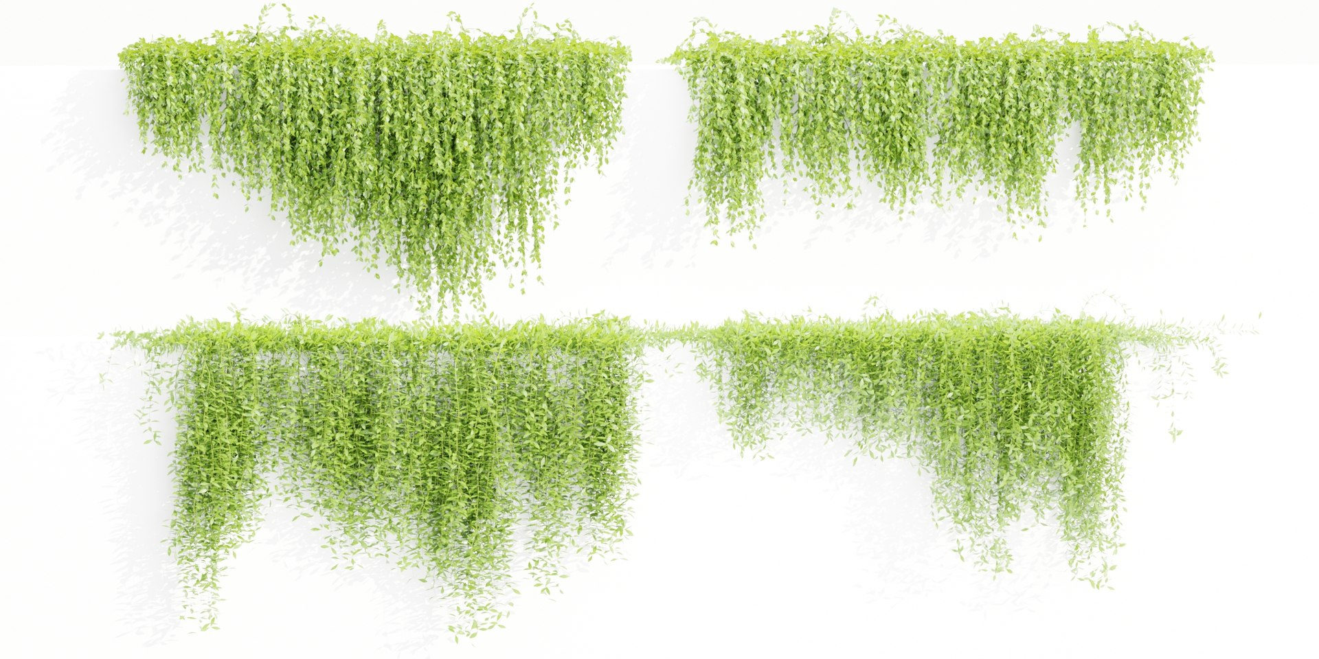 Creeper Plants Collection Vol 144-Blender 3D - TurboSquid 2149260