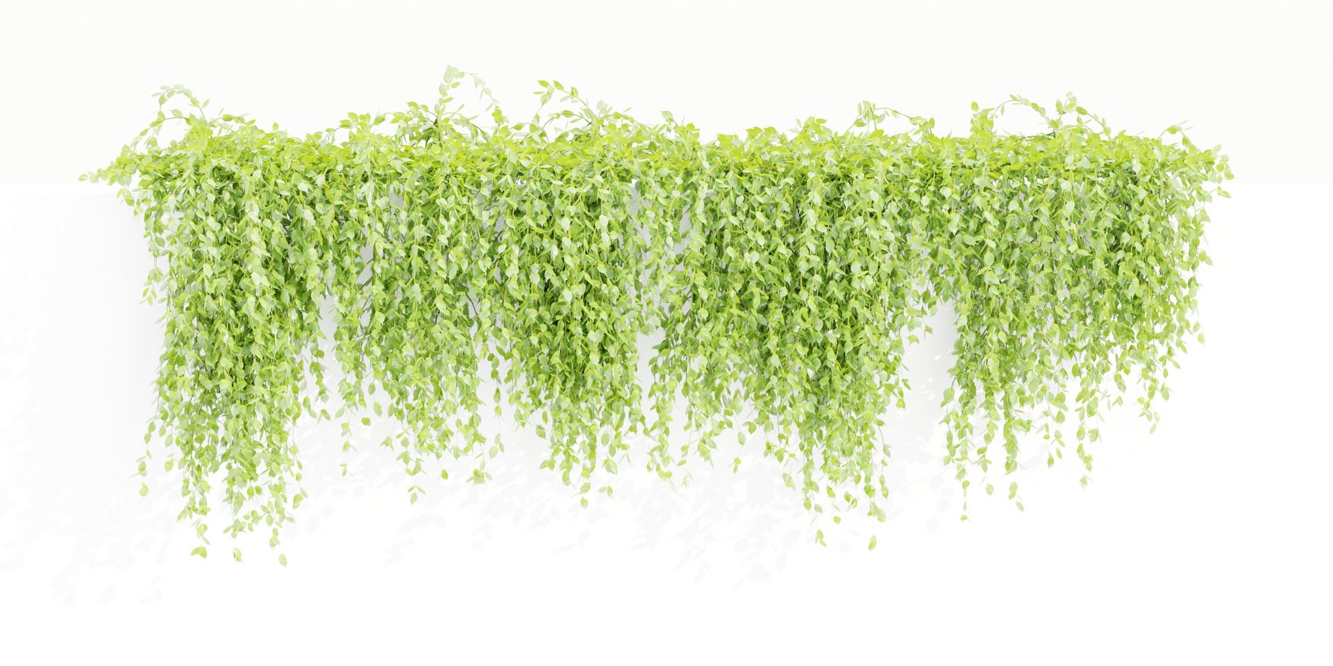 Creeper Plants Collection Vol 144-Blender 3D - TurboSquid 2149260