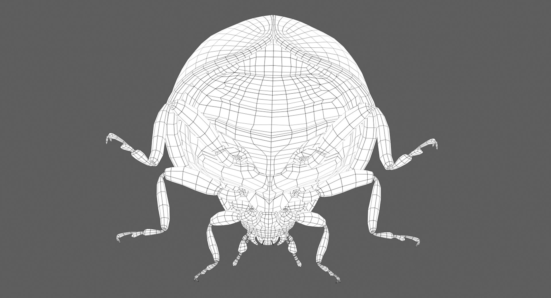 3D ladybug real realistic | 1146649 | TurboSquid