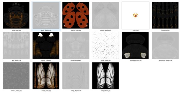 3D ladybug real realistic | 1146649 | TurboSquid