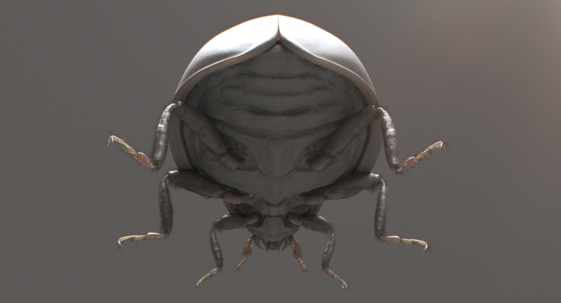 3D ladybug real realistic | 1146649 | TurboSquid
