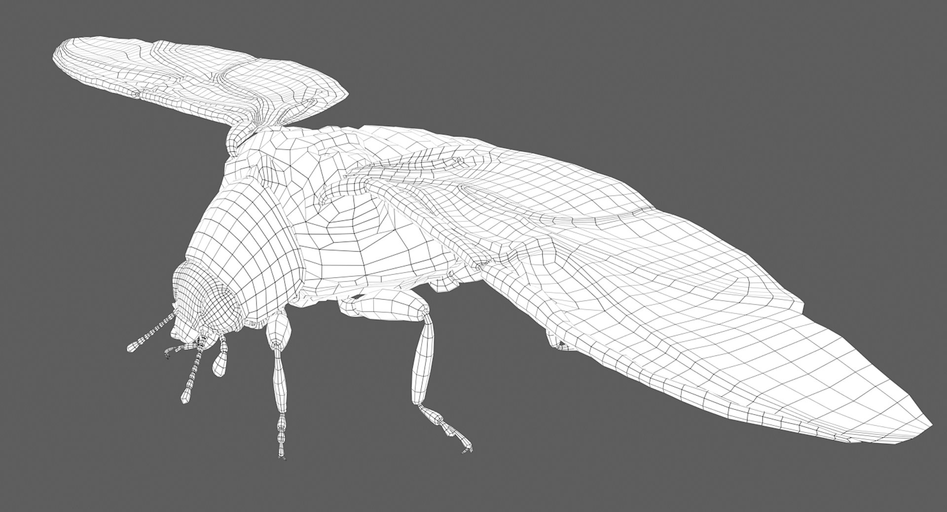 3D ladybug real realistic | 1146649 | TurboSquid