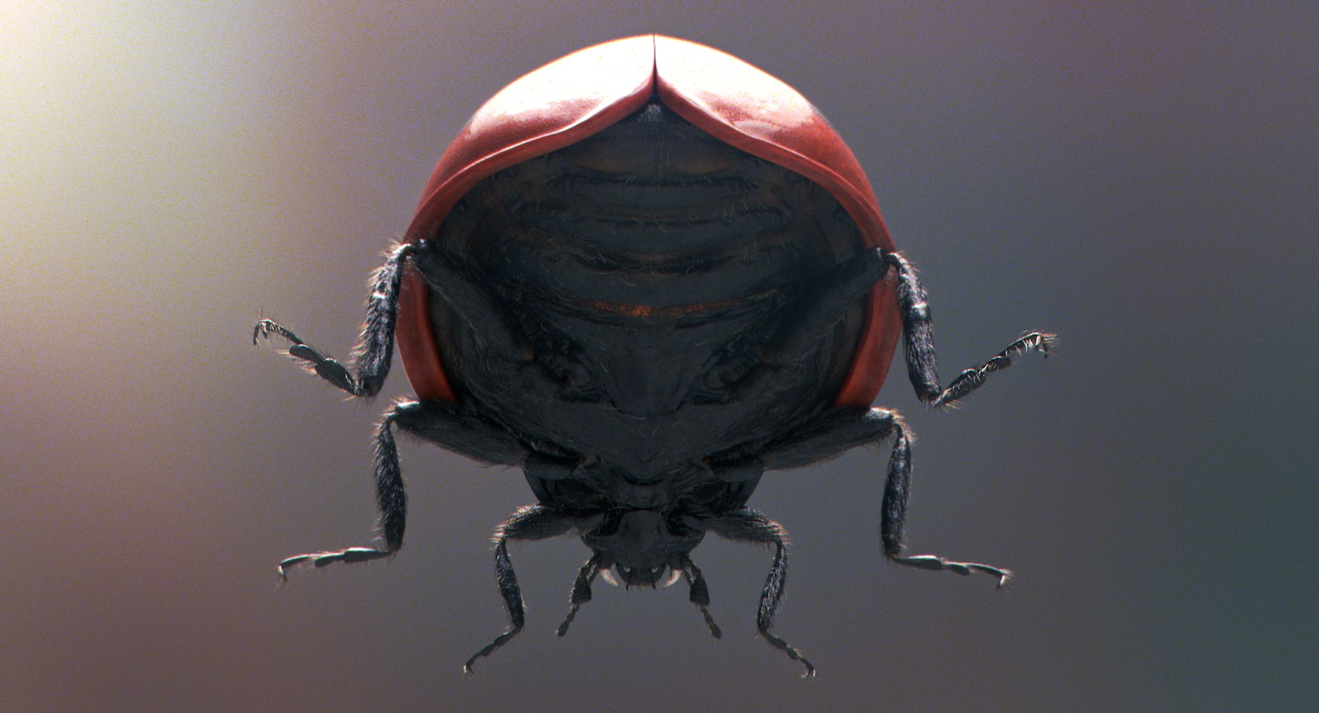 3D ladybug real realistic | 1146649 | TurboSquid