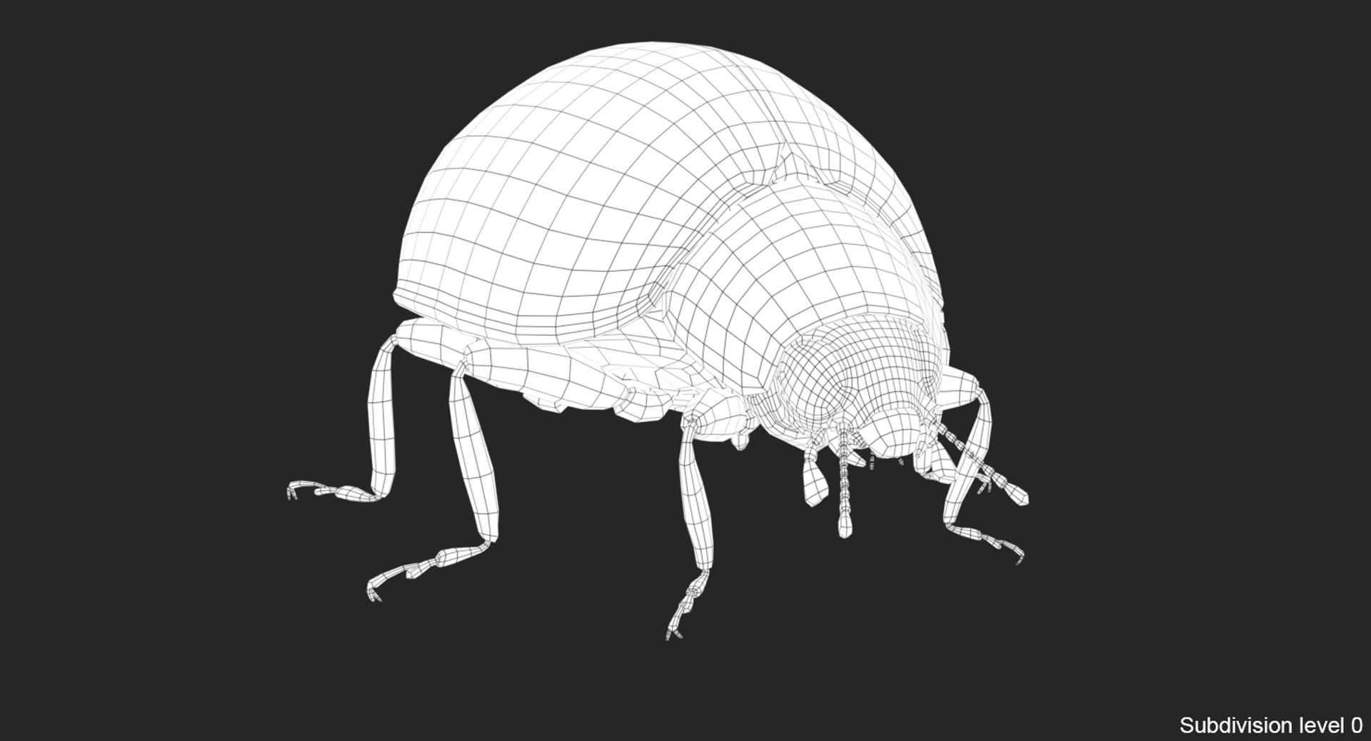 3D ladybug real realistic | 1146649 | TurboSquid