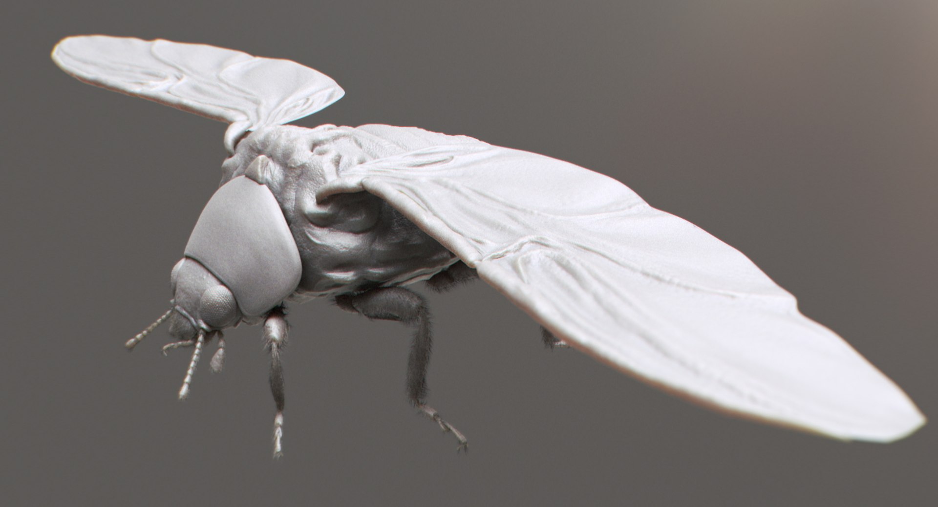 3D ladybug real realistic | 1146649 | TurboSquid