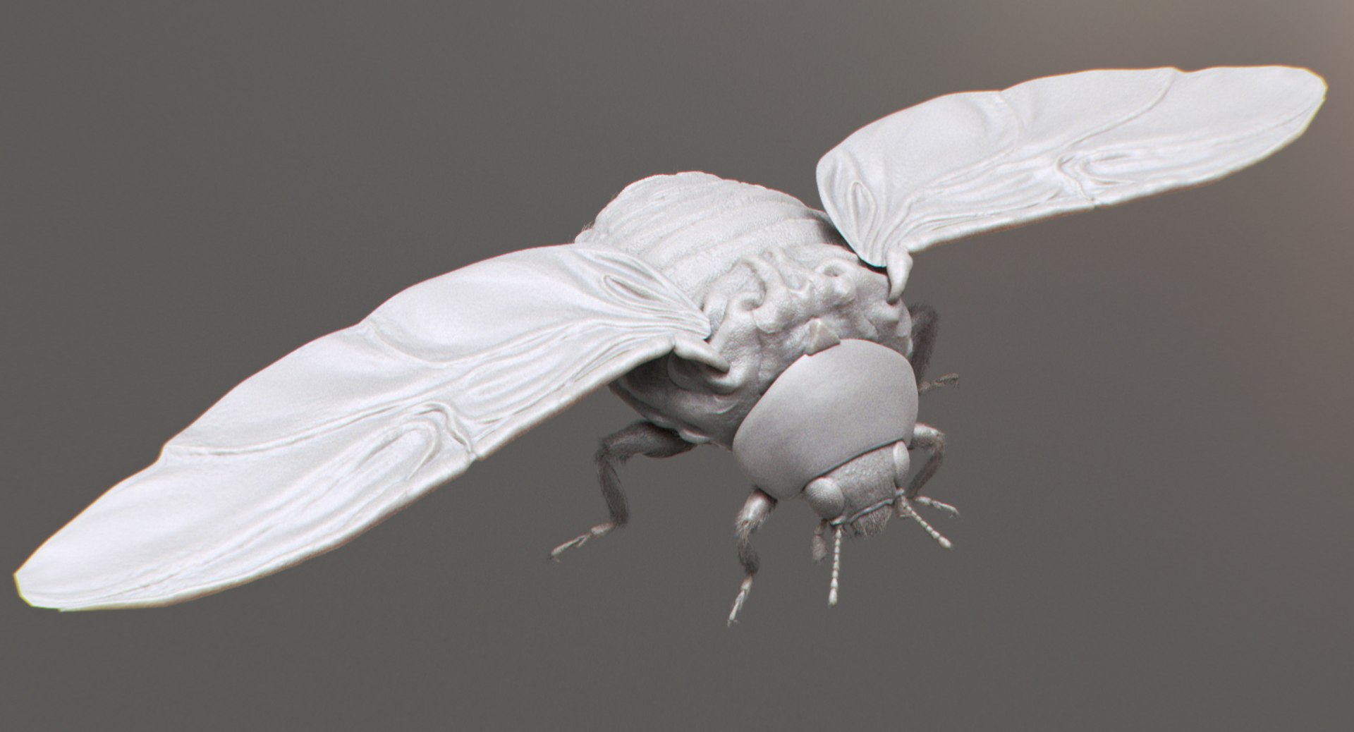 3D ladybug real realistic | 1146649 | TurboSquid