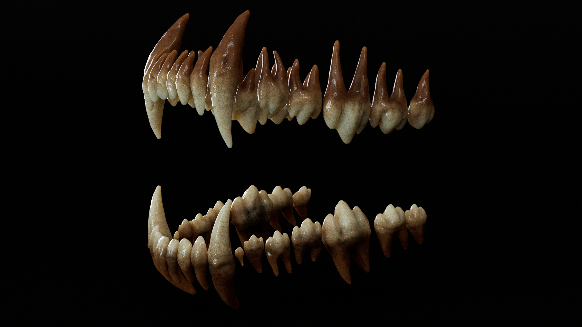 Realistic Wolf Teeth 3D Model - TurboSquid 2401525