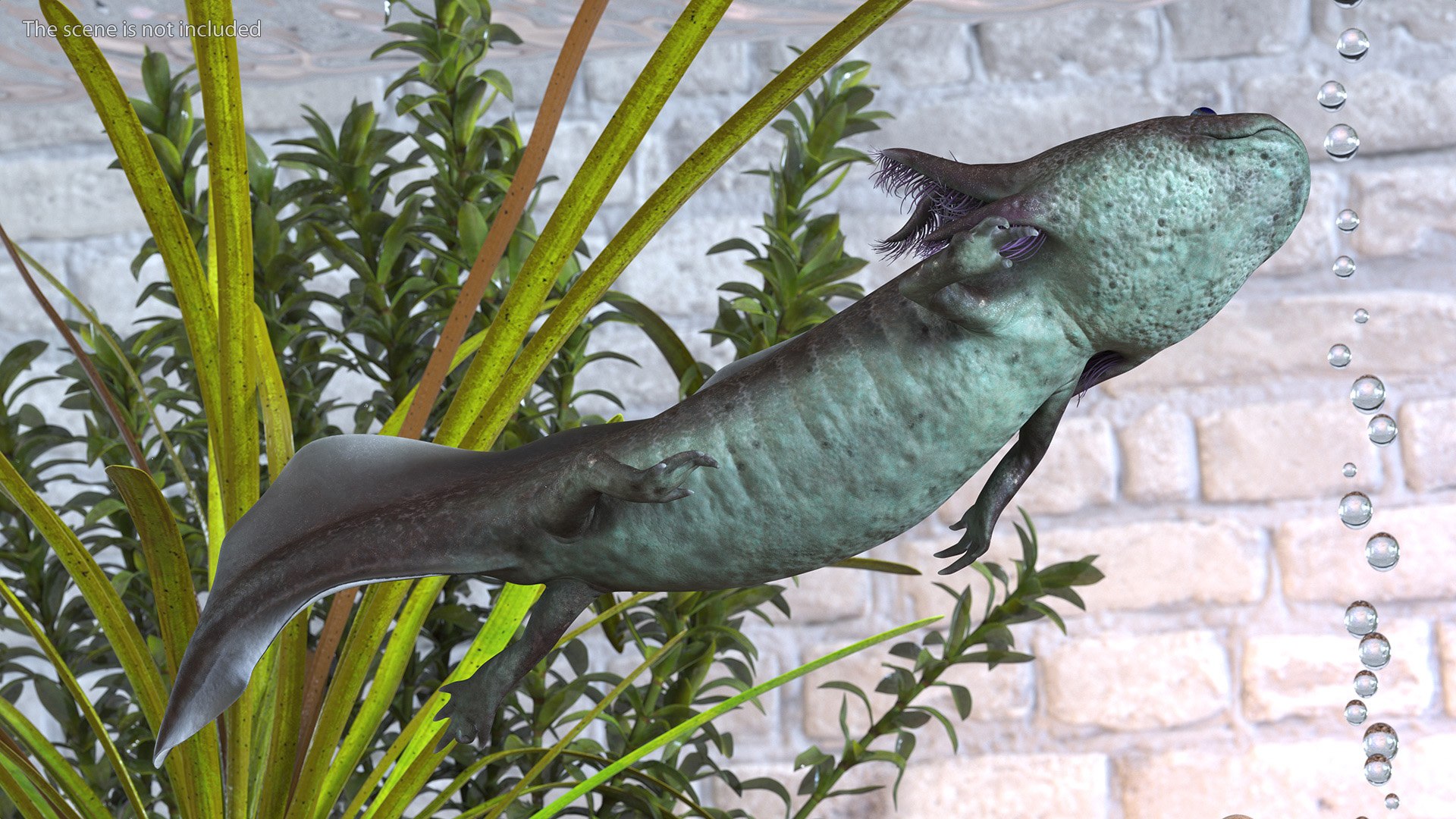 3D Model Mexican Brown Axolotl Rigged - TurboSquid 2210064