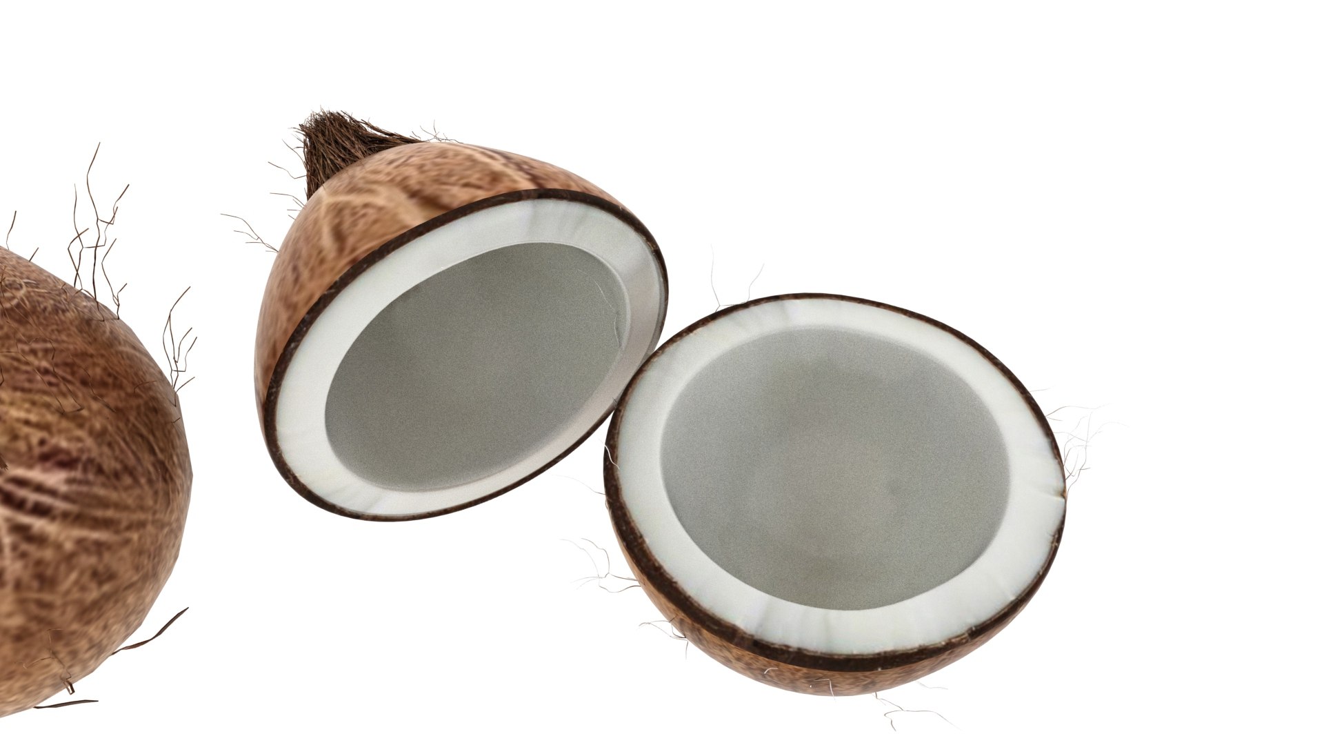 Dry Coconut 3D Model - TurboSquid 1857515