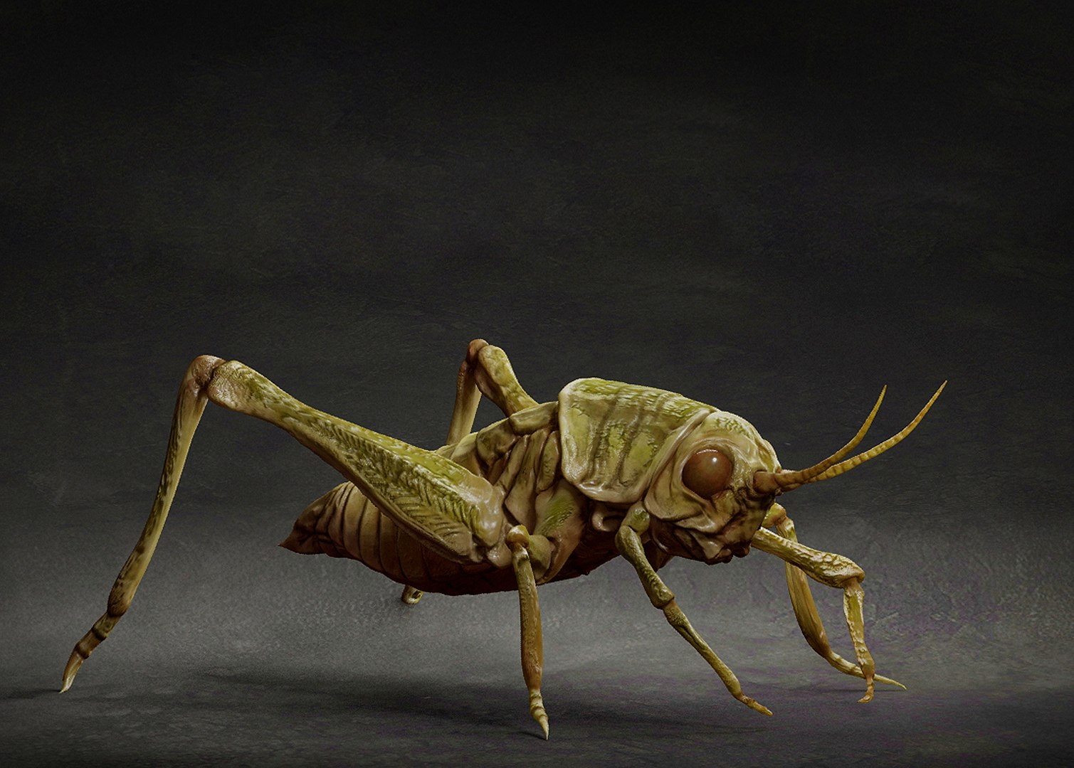 3D Grasshopper Model - TurboSquid 2186661