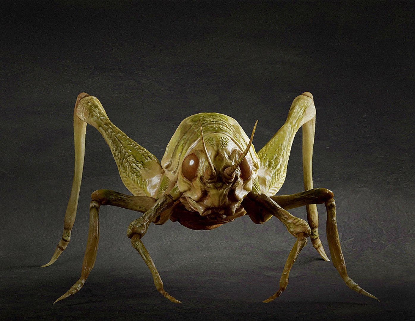 3D Grasshopper Model - TurboSquid 2186661