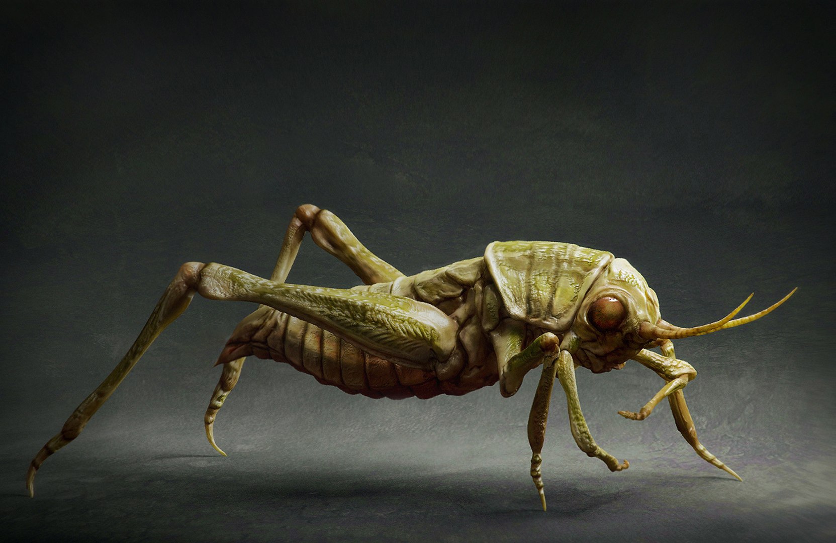 3D Grasshopper Model - TurboSquid 2186661
