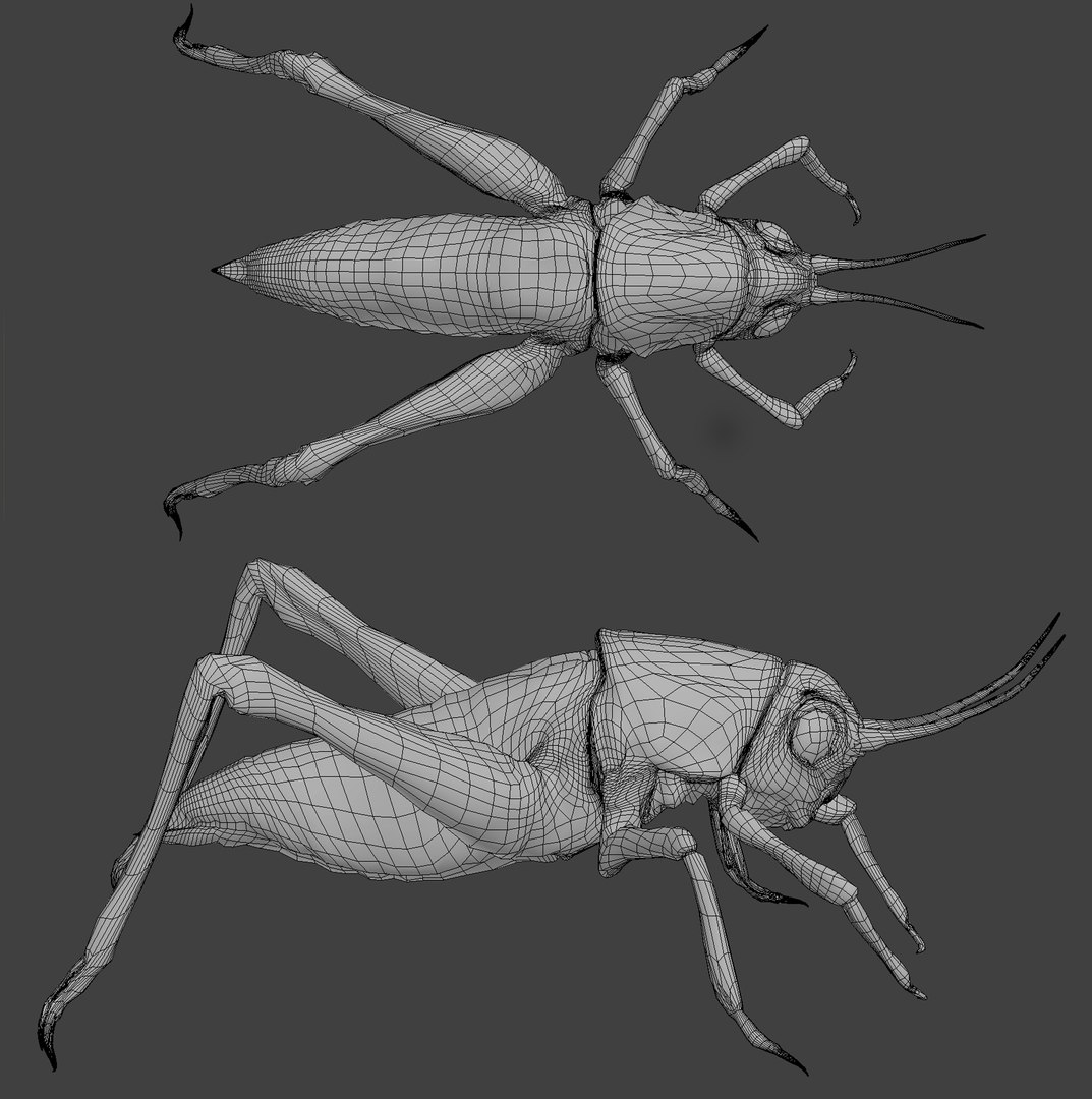 3D Grasshopper Model - TurboSquid 2186661