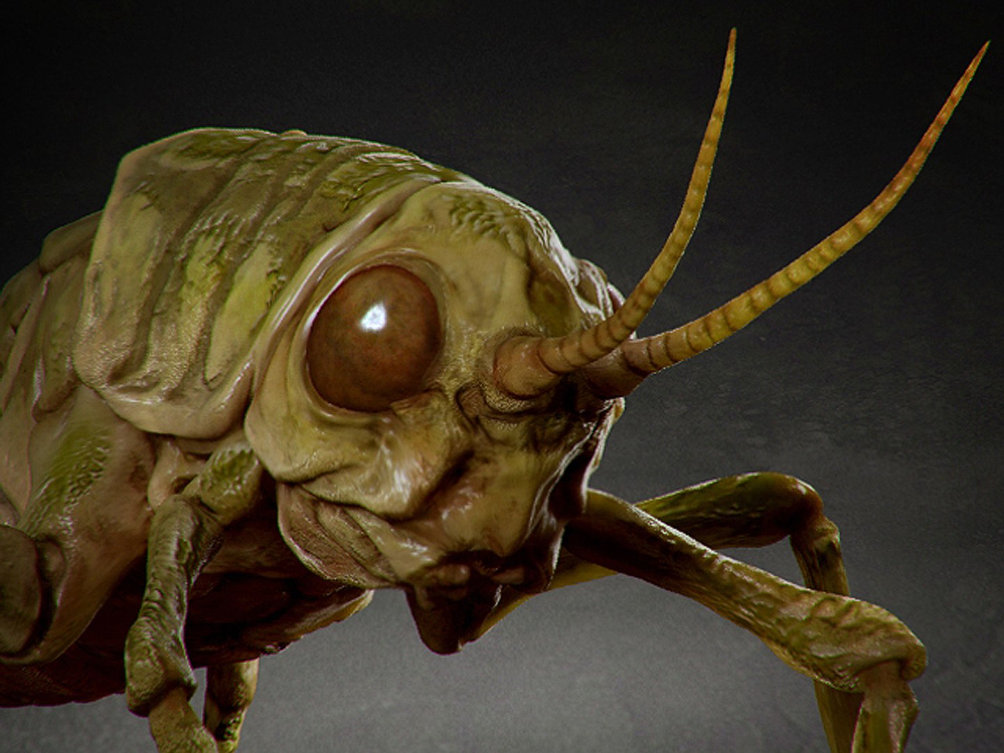 3D Grasshopper Model - TurboSquid 2186661