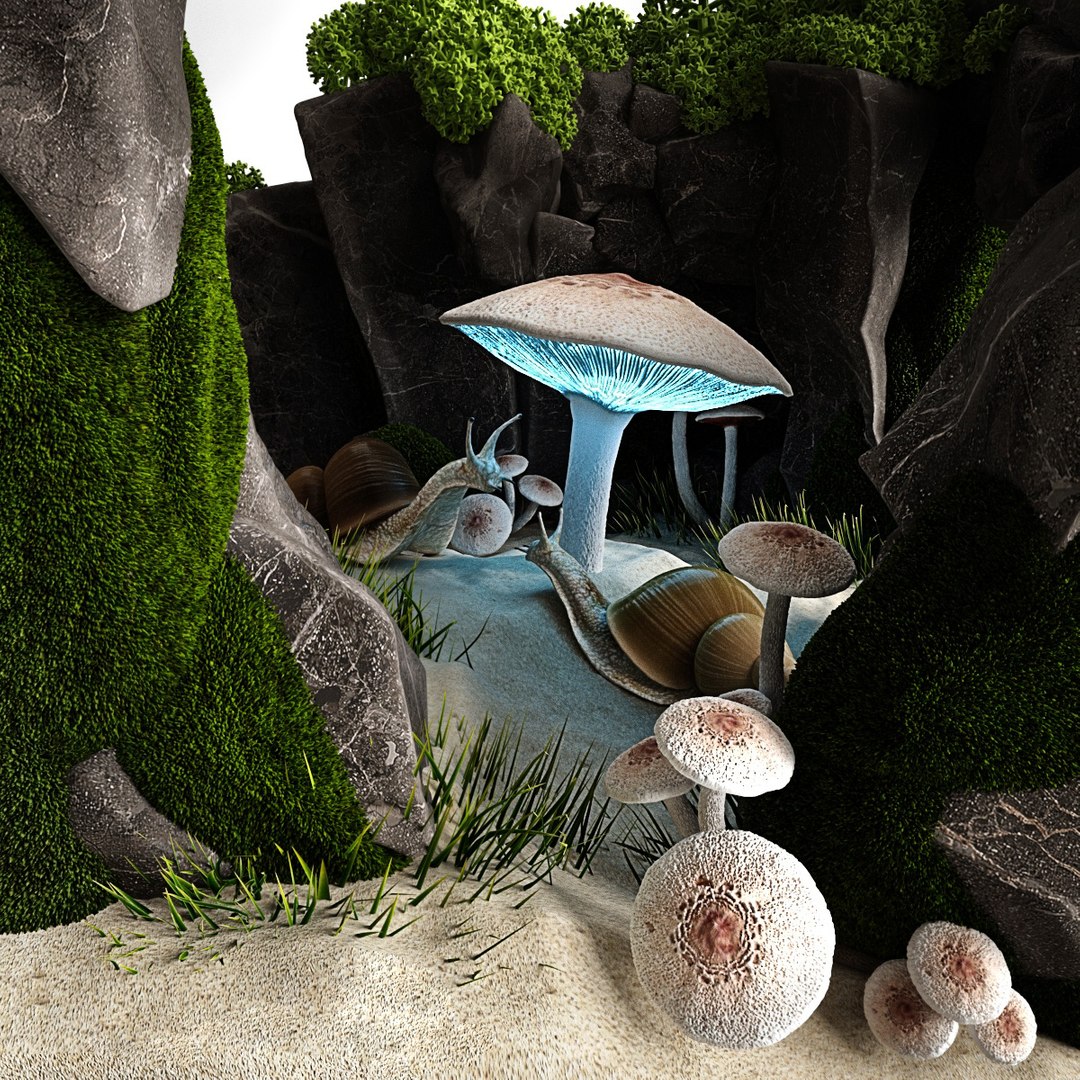 3D Terrarium Snails Model - TurboSquid 1505578
