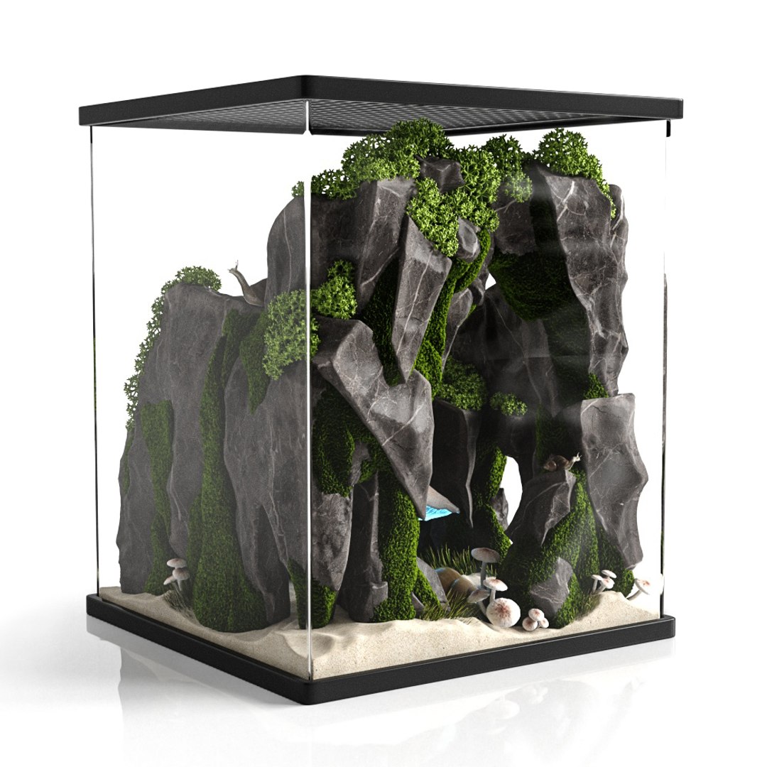 3D Terrarium Snails Model - TurboSquid 1505578