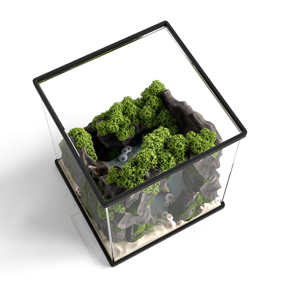 3D Terrarium Snails Model - TurboSquid 1505578