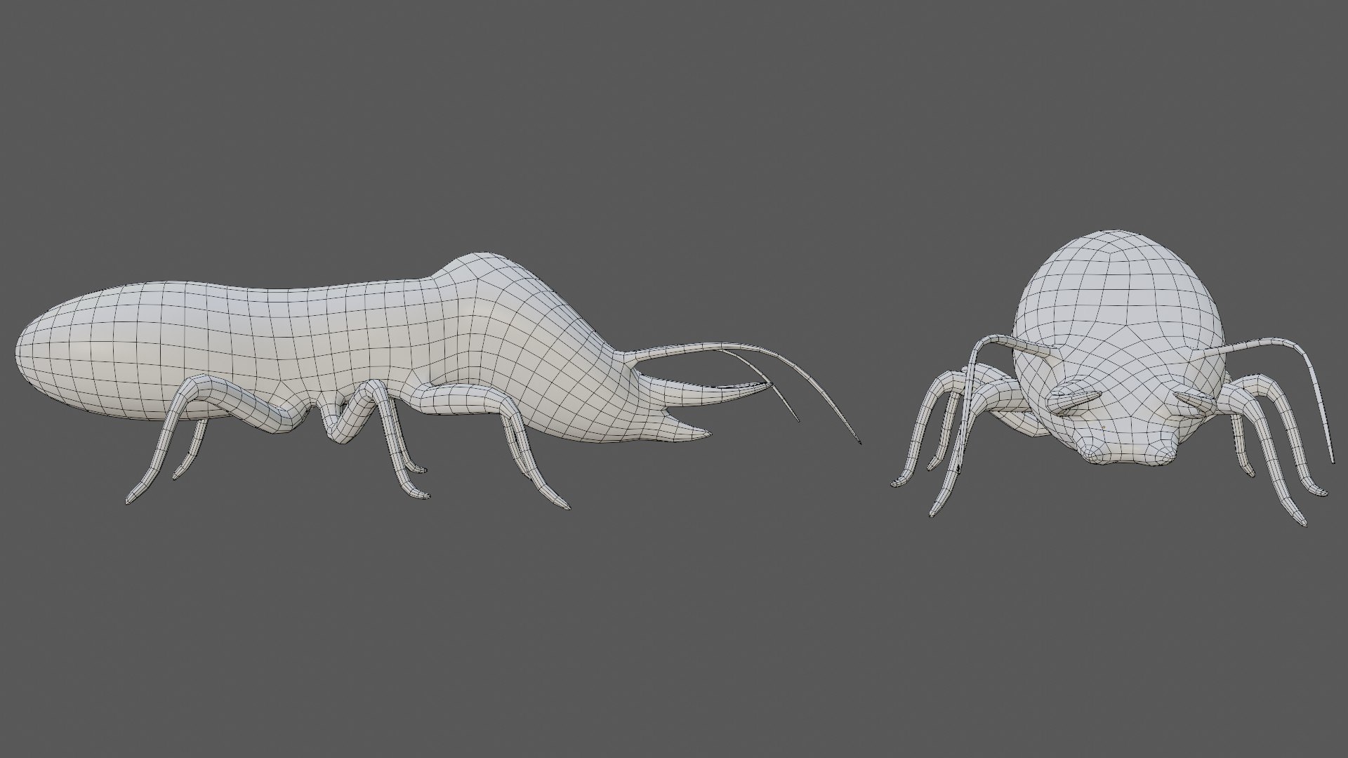 3D Rigged Termite - TurboSquid 1780316