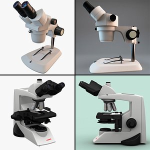 Labomed Maya Models for Download | TurboSquid