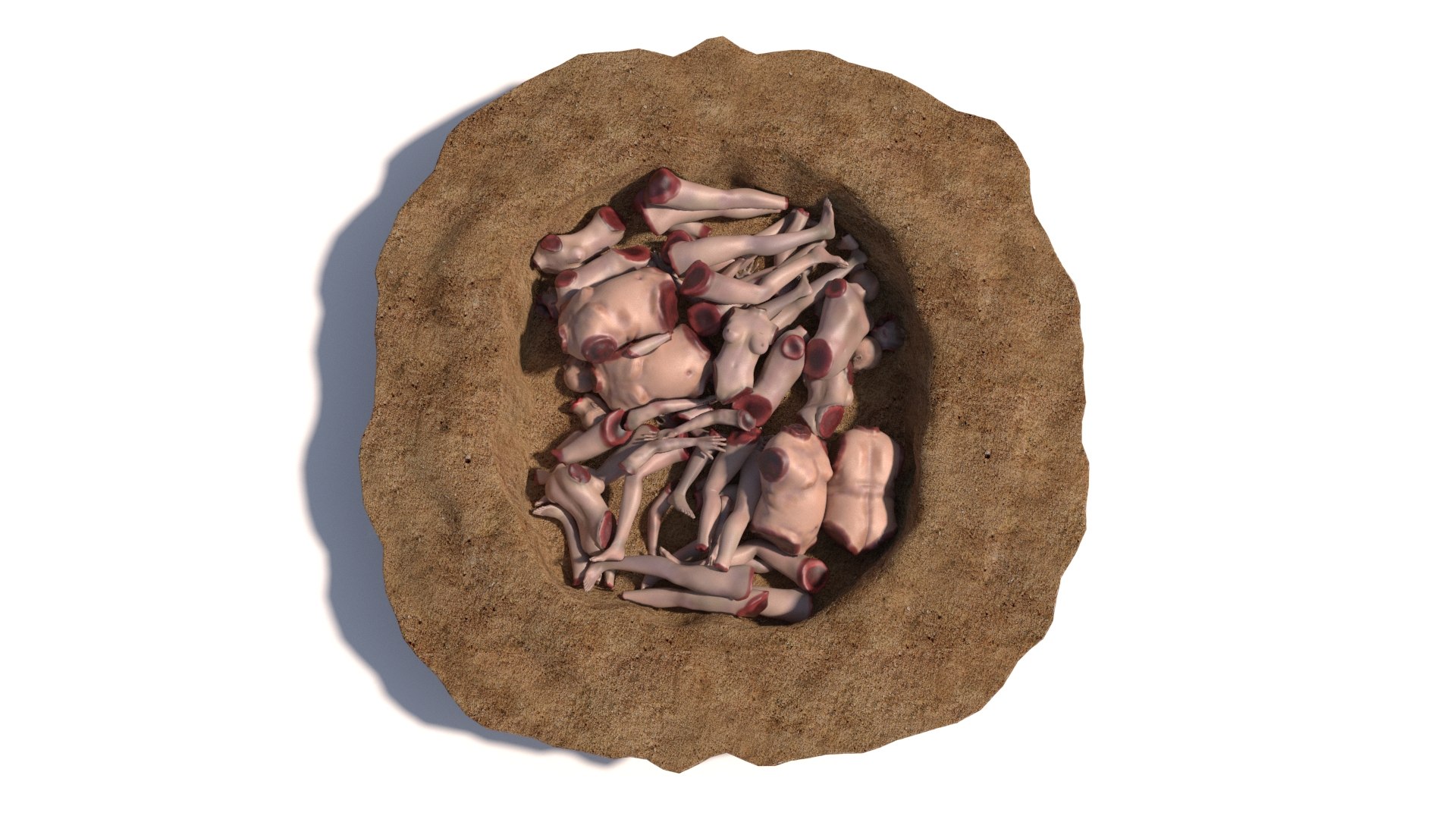 3D Small Common Pit Human Body Parts - TurboSquid 2098952