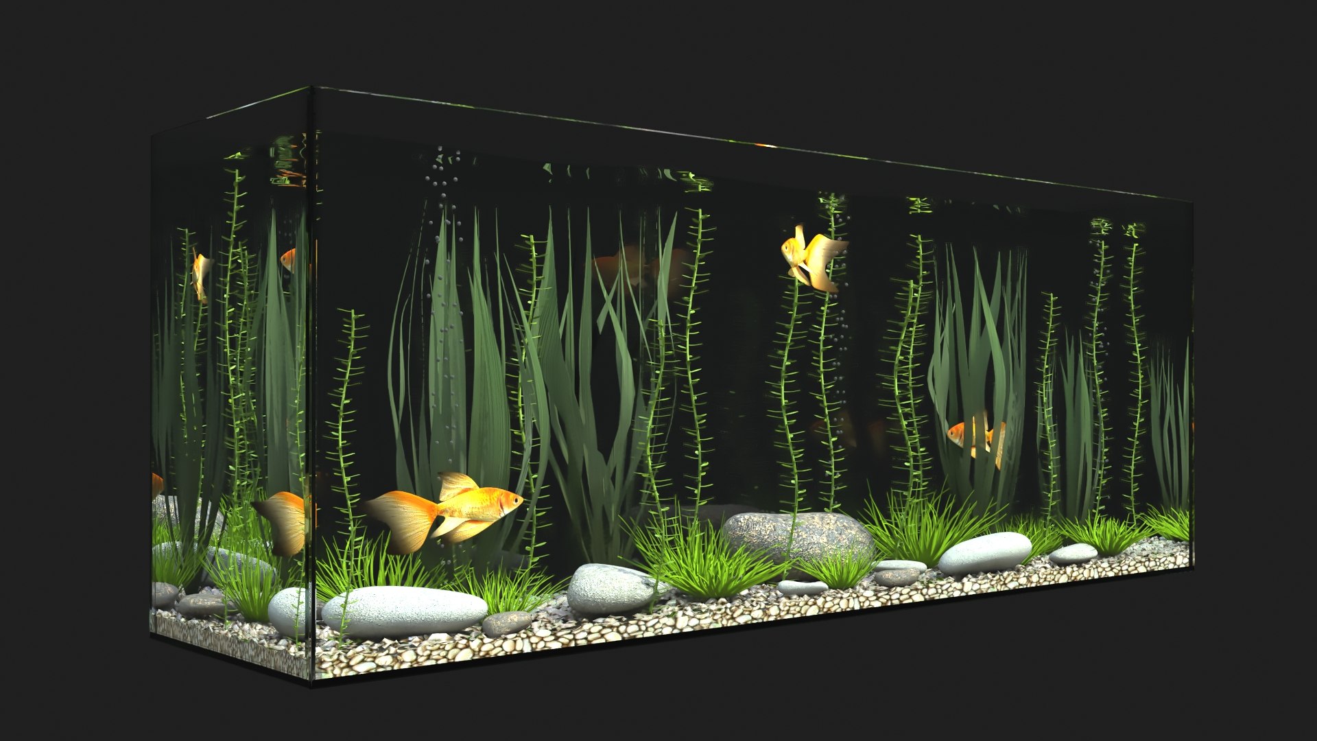 fish tank2220233042053Dモデル - TurboSquid 2052302