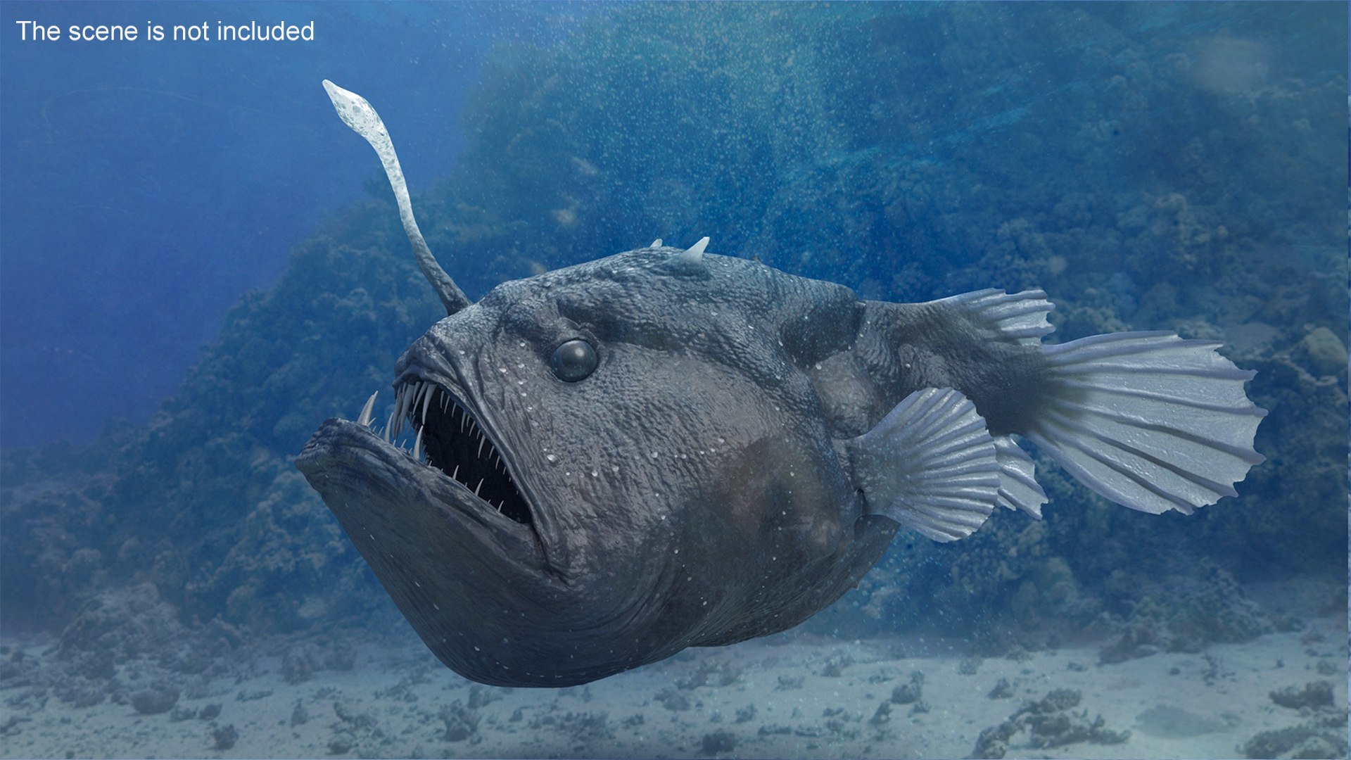 Anglerfish Rigged For Cinema 4D 3D Model - TurboSquid 2250595