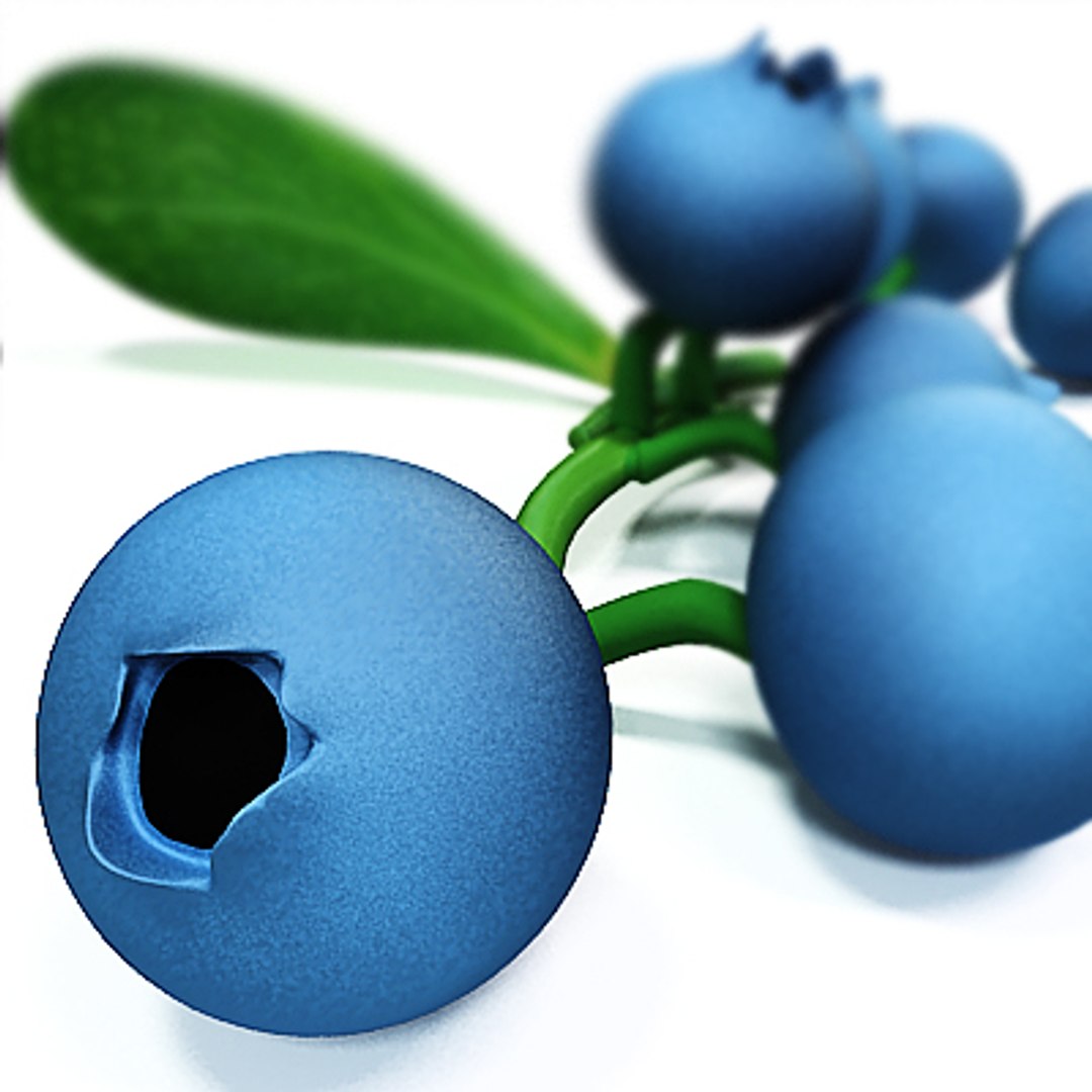 Max Blueberry Berries
