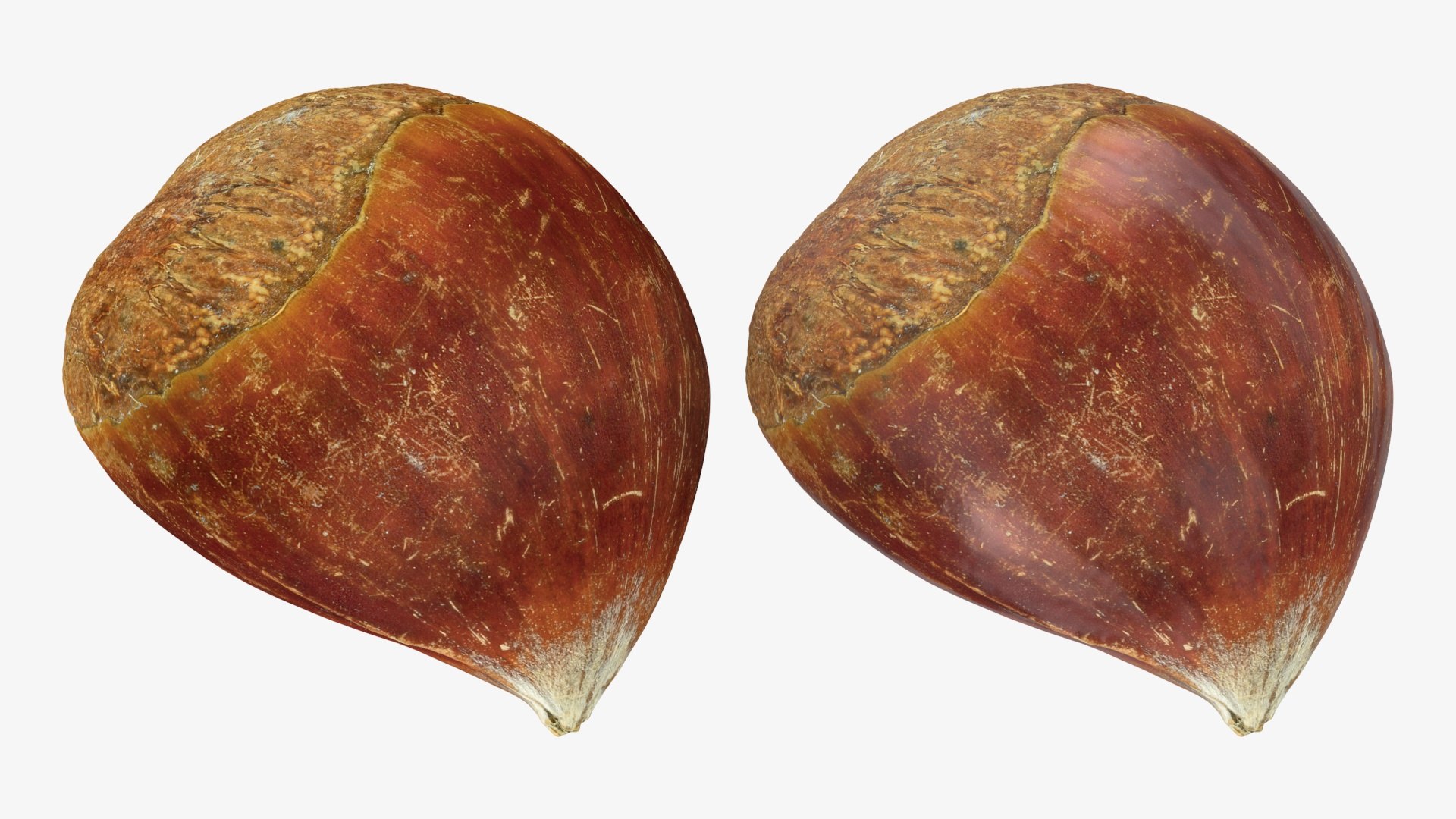 3D Chestnut Collection Model - TurboSquid 2349507