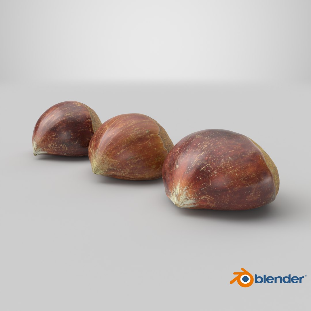 3D Chestnut Collection Model - TurboSquid 2349507