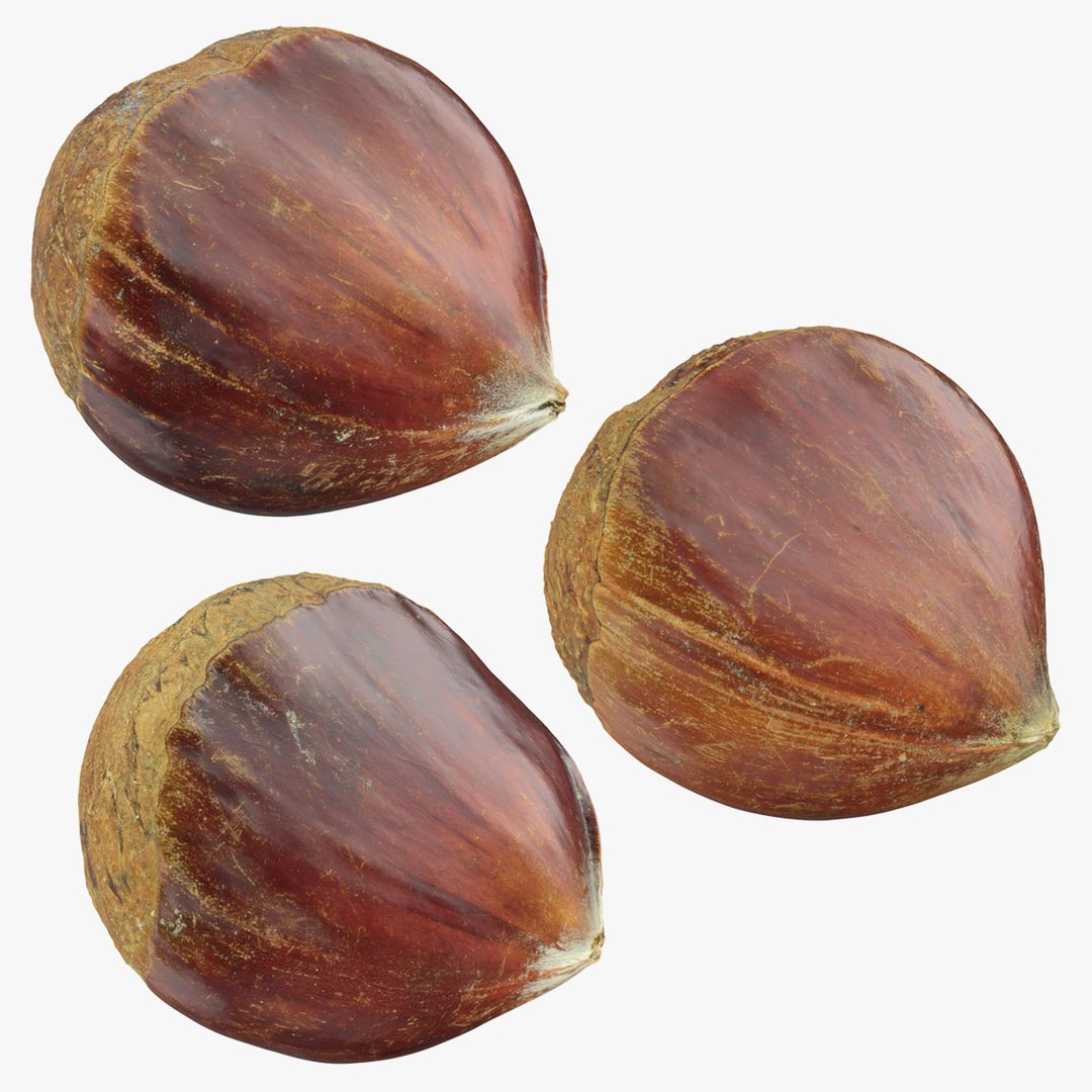 3D Chestnut Collection Model - TurboSquid 2349507