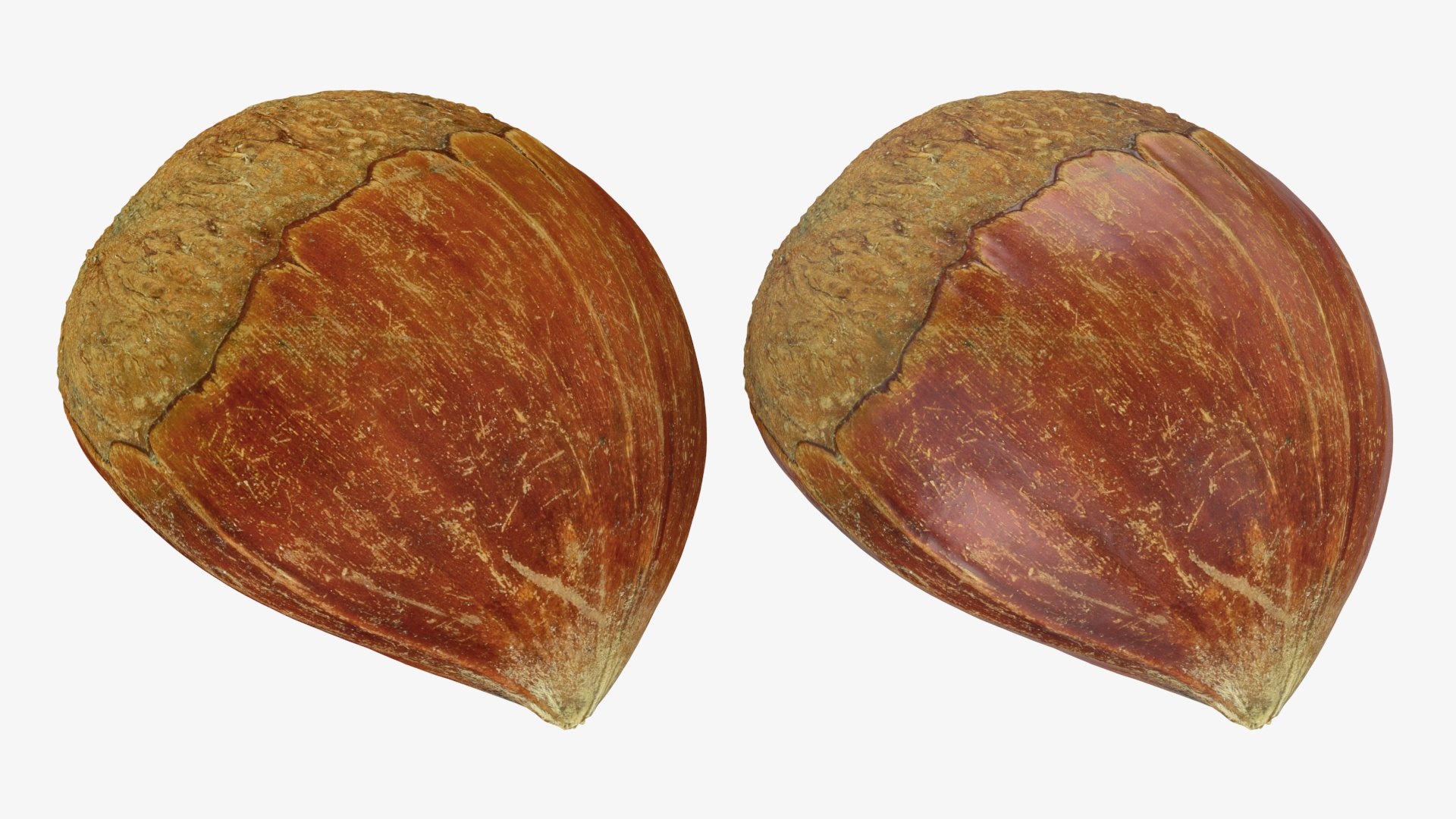 3D Chestnut Collection Model - TurboSquid 2349507