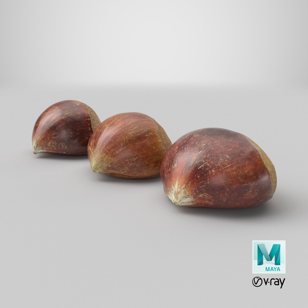 3D Chestnut Collection Model - TurboSquid 2349507