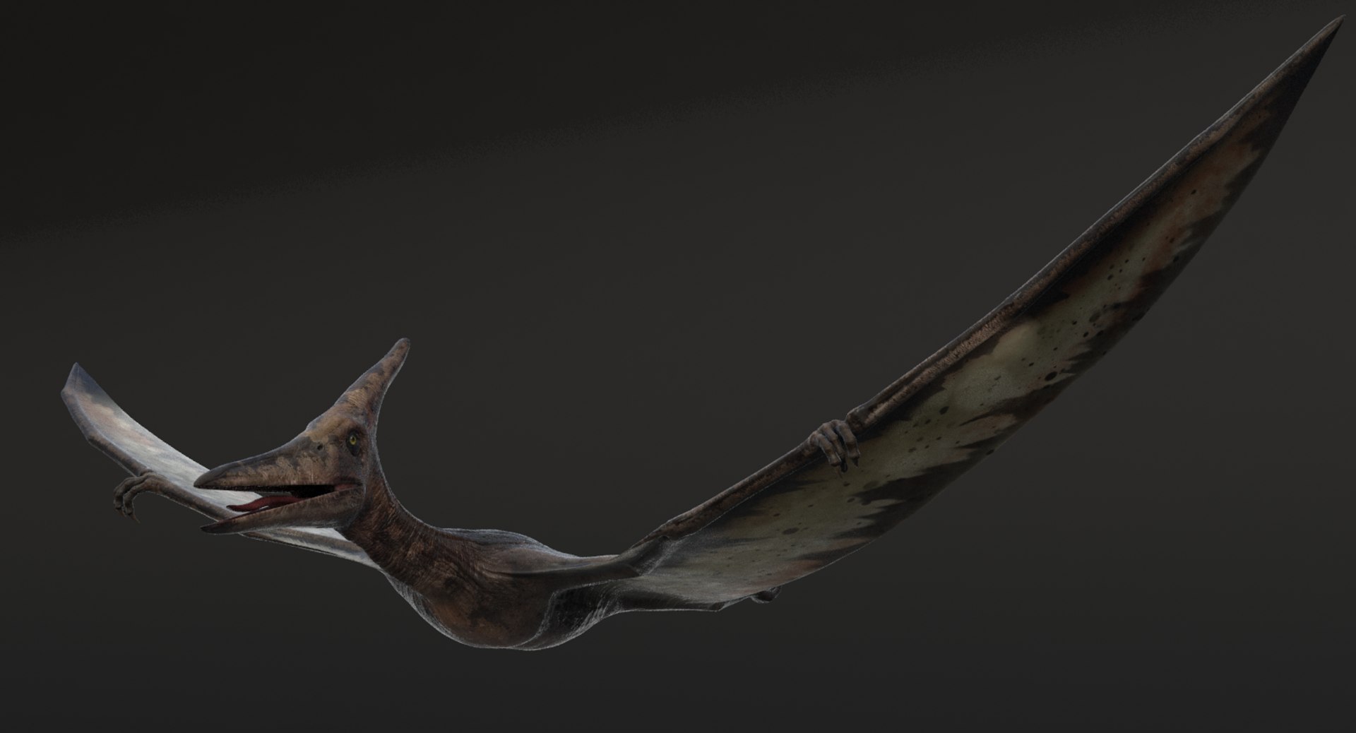 realistic pteranodon rigged 3d model