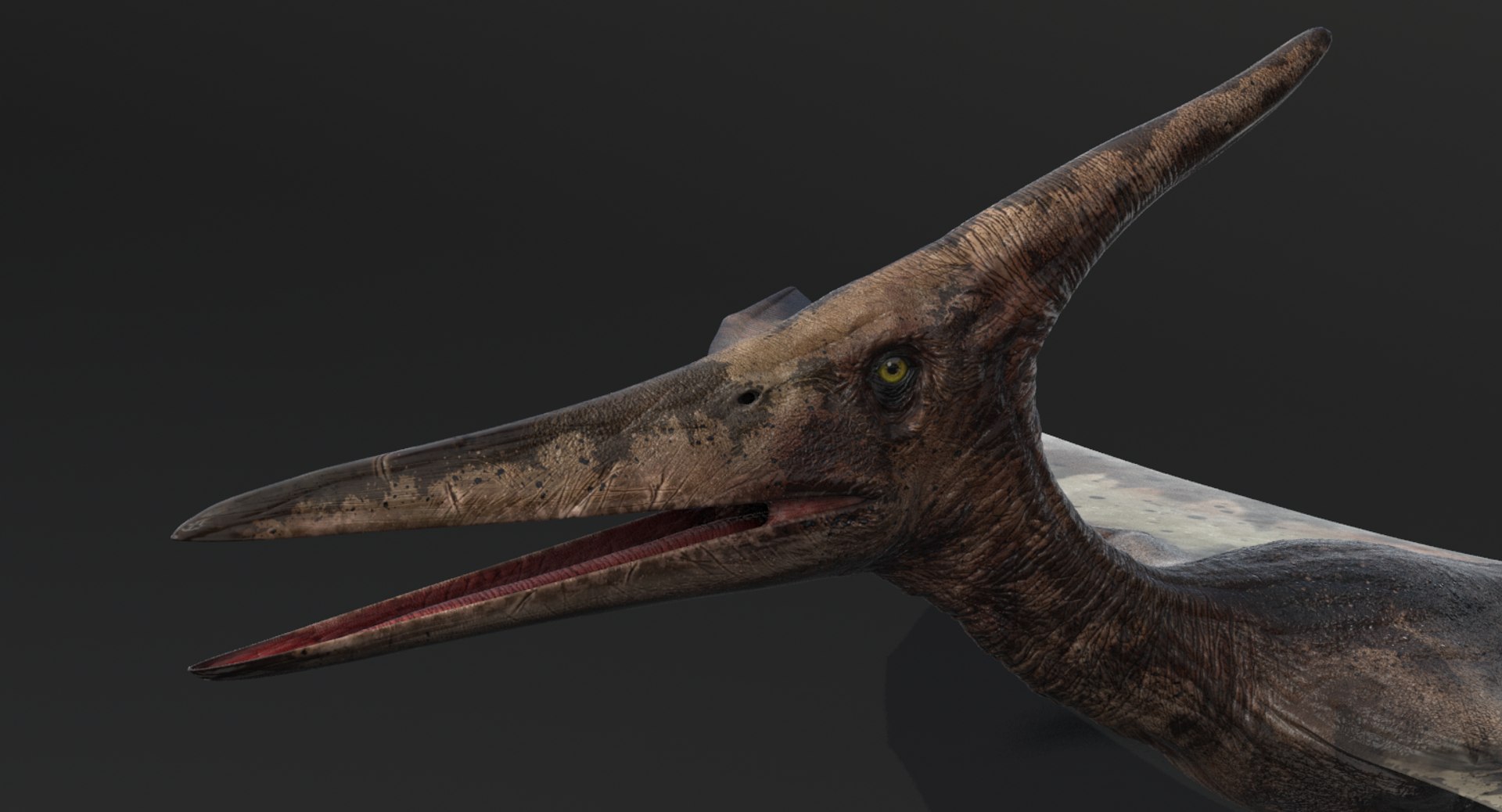 realistic pteranodon rigged 3d model