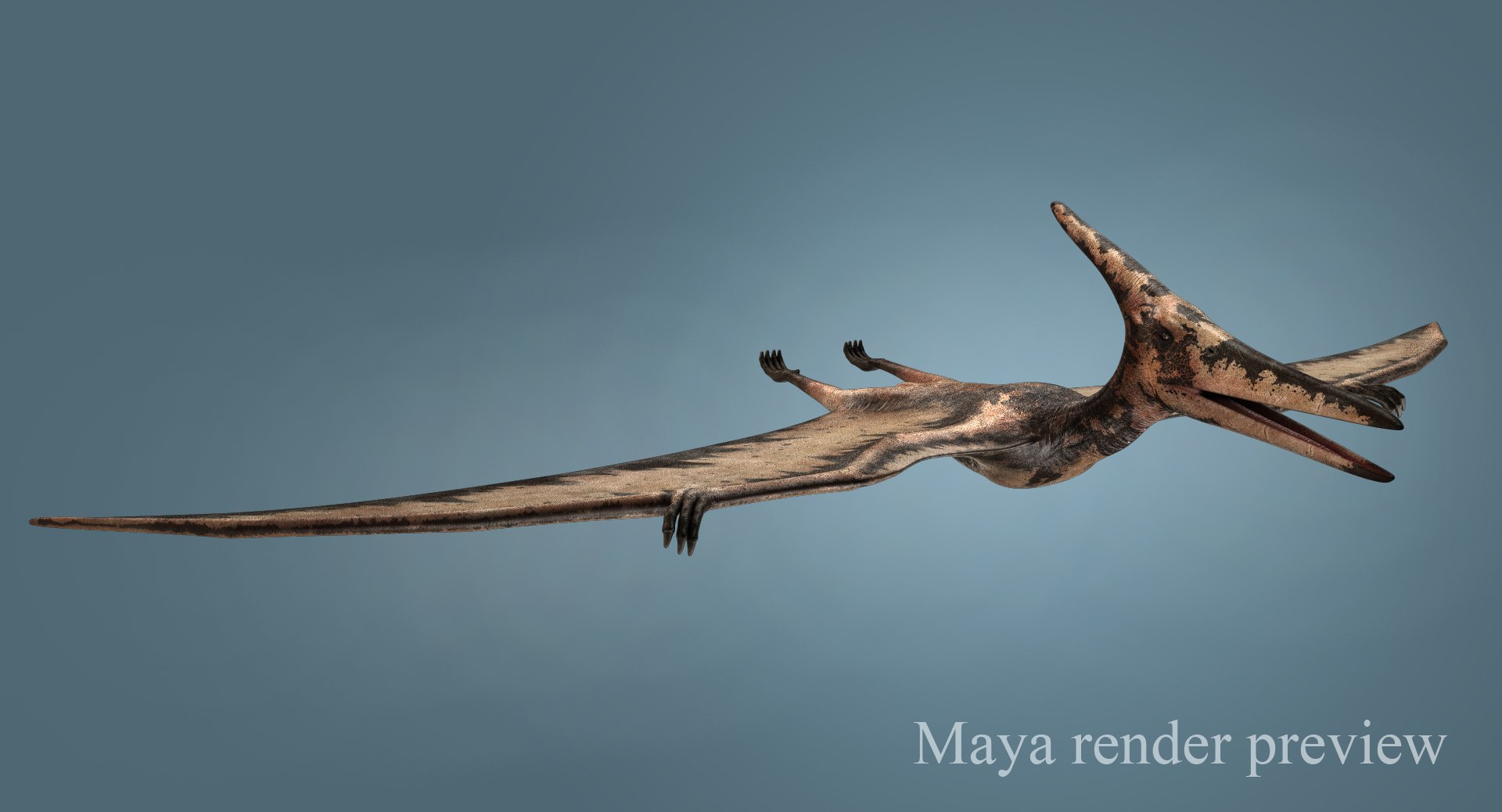 realistic pteranodon rigged 3d model