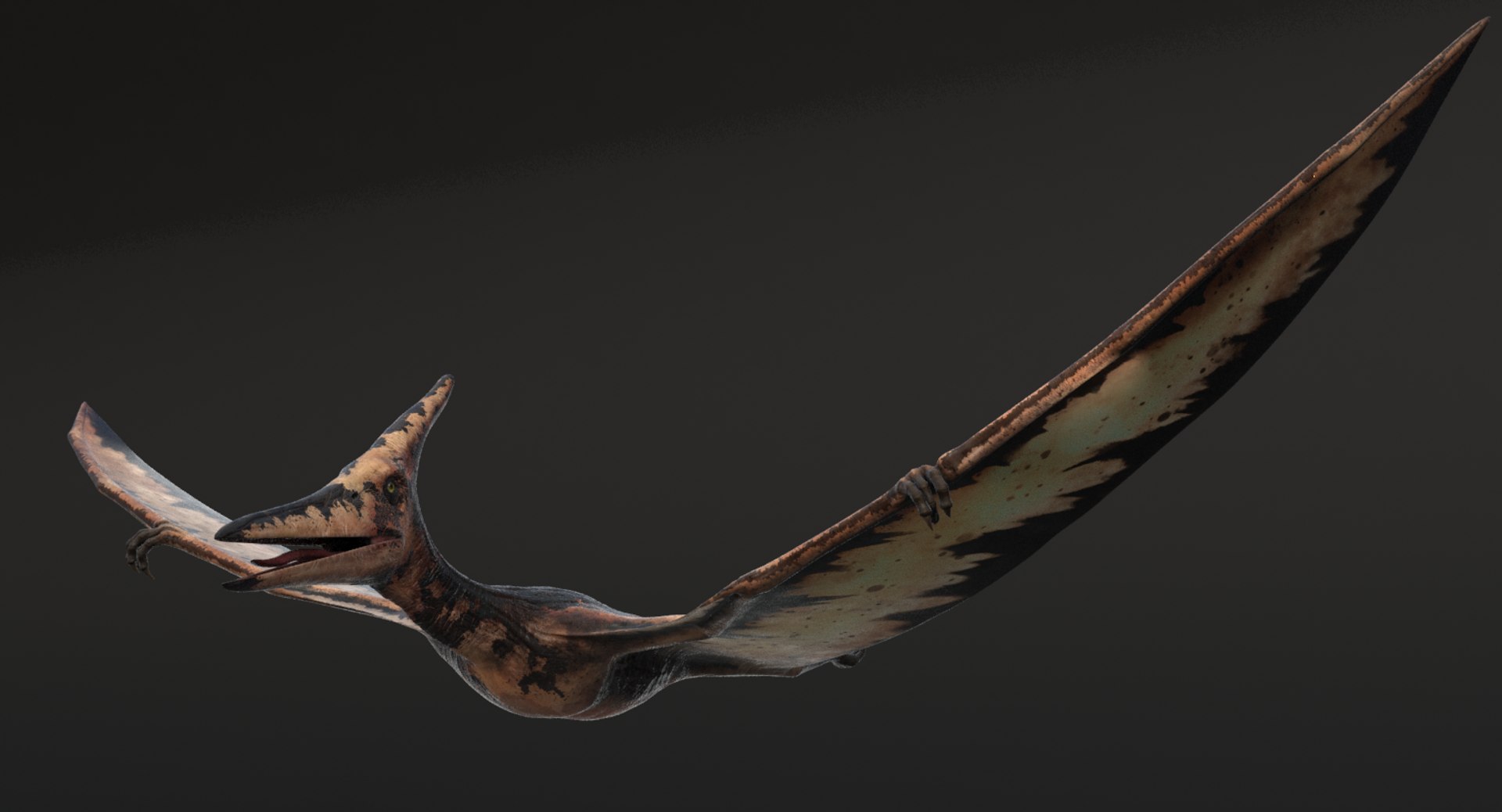 realistic pteranodon rigged 3d model