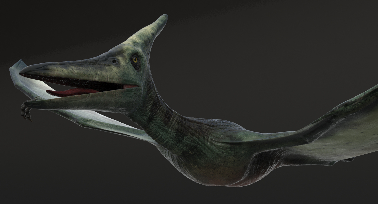 realistic pteranodon rigged 3d model