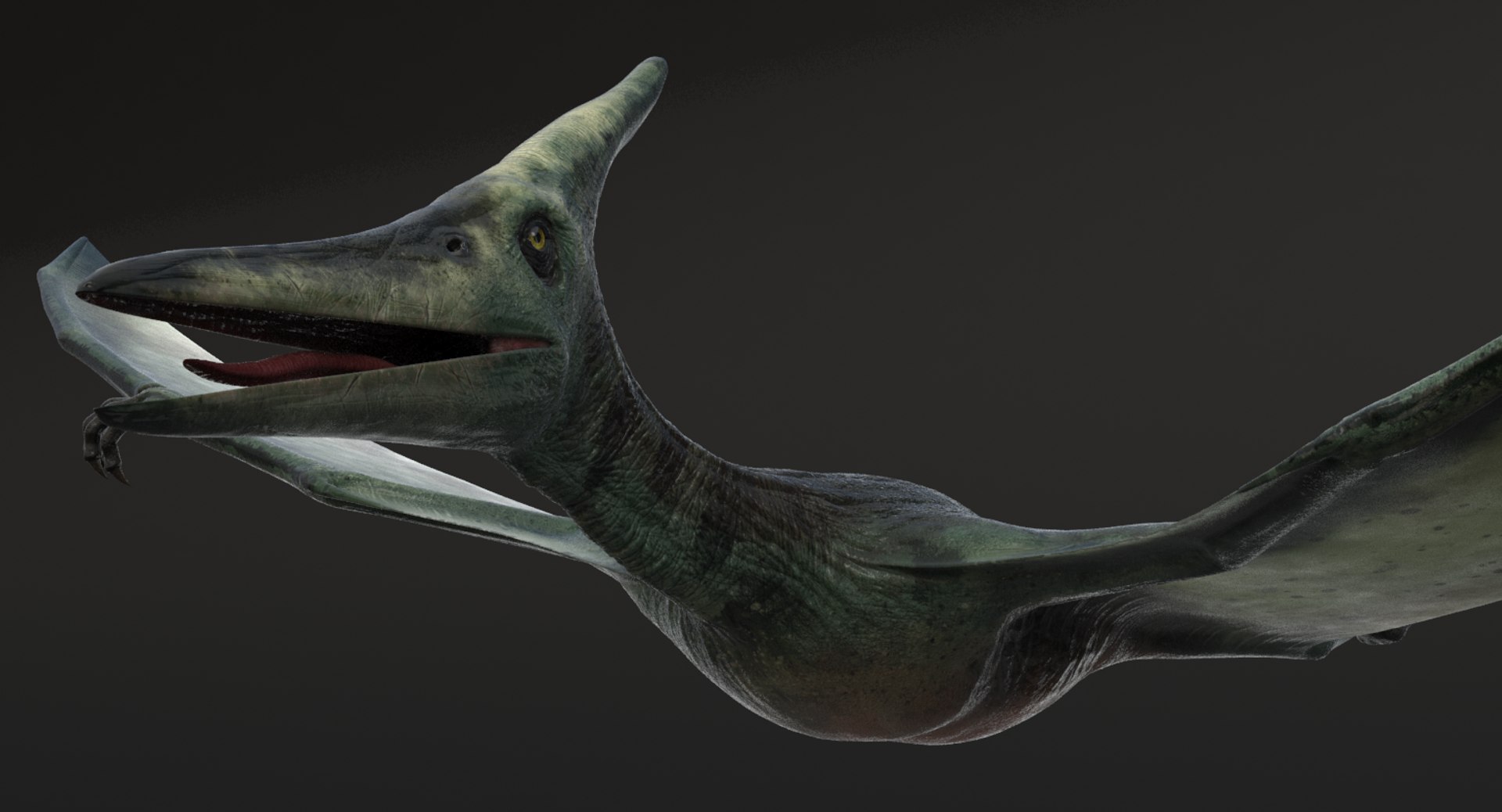 realistic pteranodon rigged 3d model
