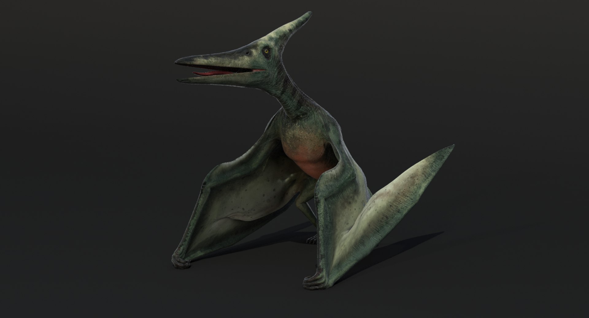 realistic pteranodon rigged 3d model