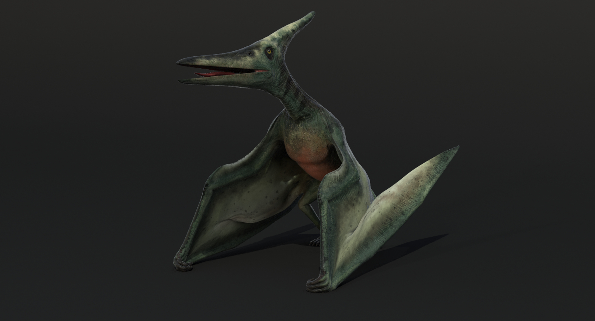 realistic pteranodon rigged 3d model