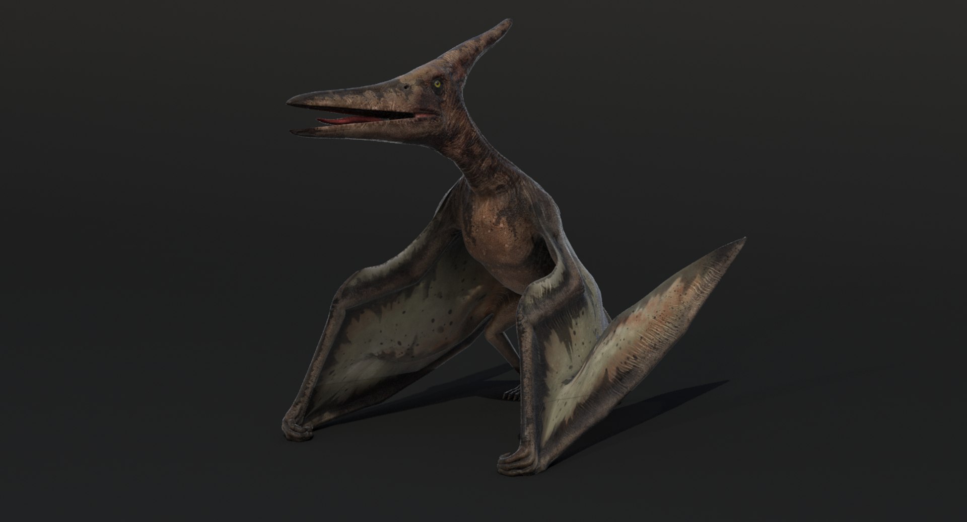 realistic pteranodon rigged 3d model