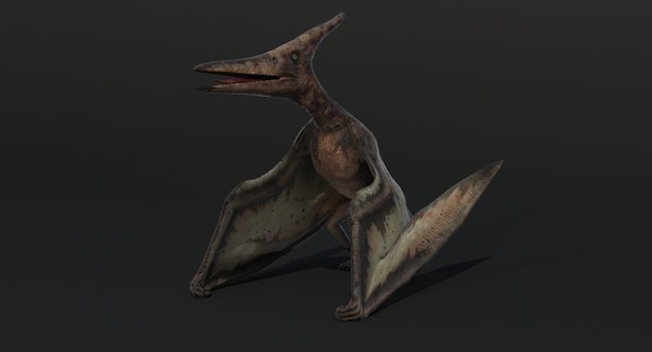 realistic pteranodon rigged 3d model