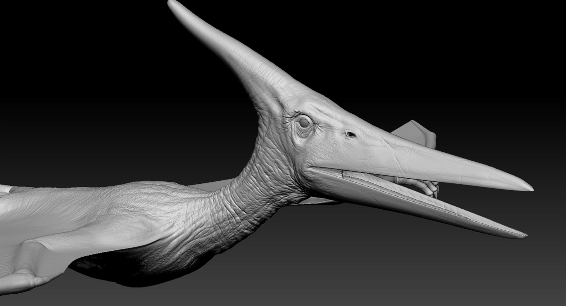 realistic pteranodon rigged 3d model