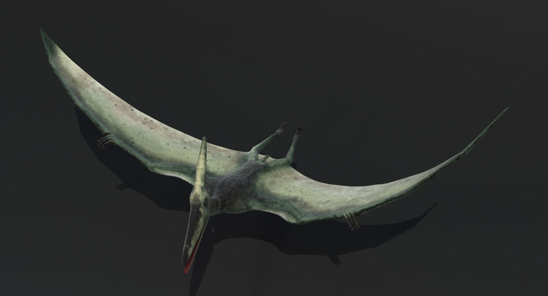 realistic pteranodon rigged 3d model