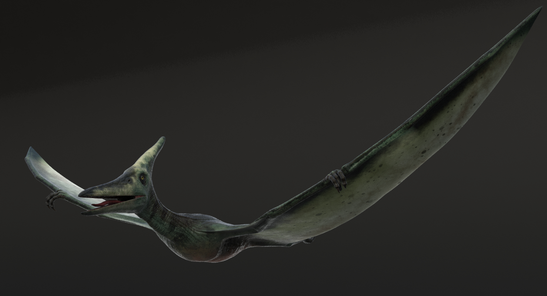 realistic pteranodon rigged 3d model