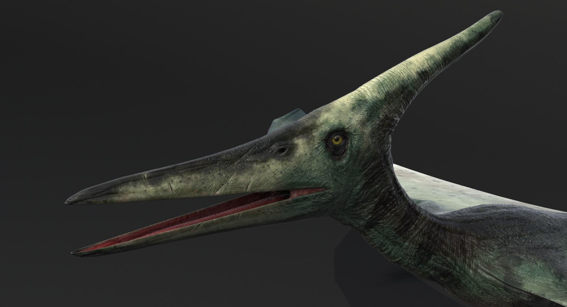 realistic pteranodon rigged 3d model