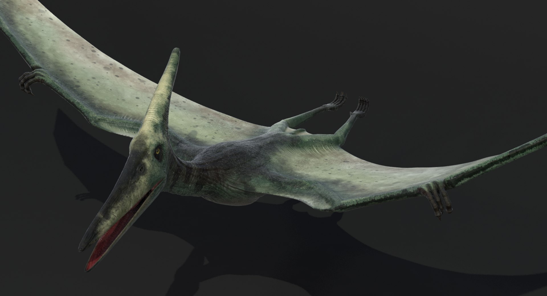 realistic pteranodon rigged 3d model